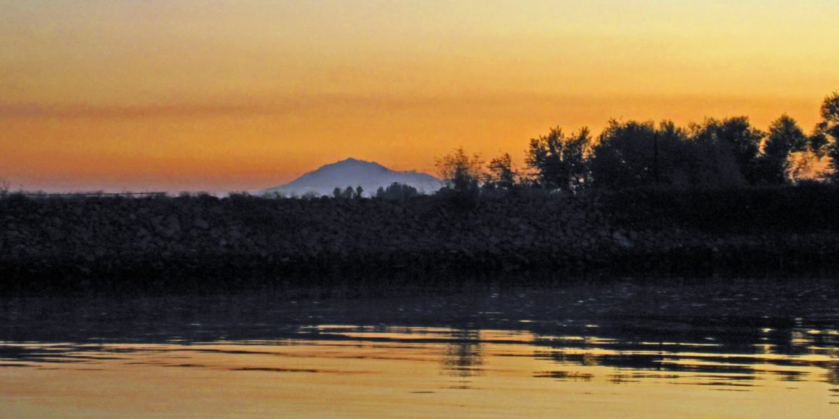 California Delta Stripers and Other Stories – FisherDad