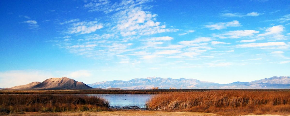 Dacey Reservoir, Sunnyside, NV – FisherDad