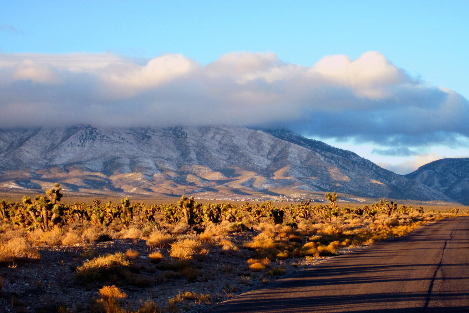 Cold Creek Pond, Clark County – FisherDad