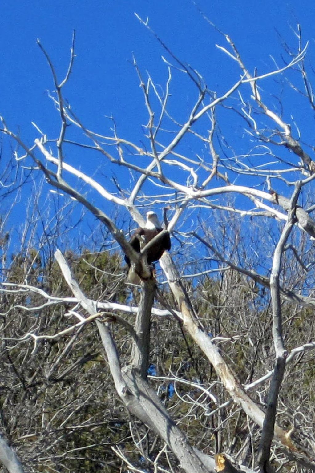 Baker Reservoir – Baker Dam Recreation Area – FisherDad