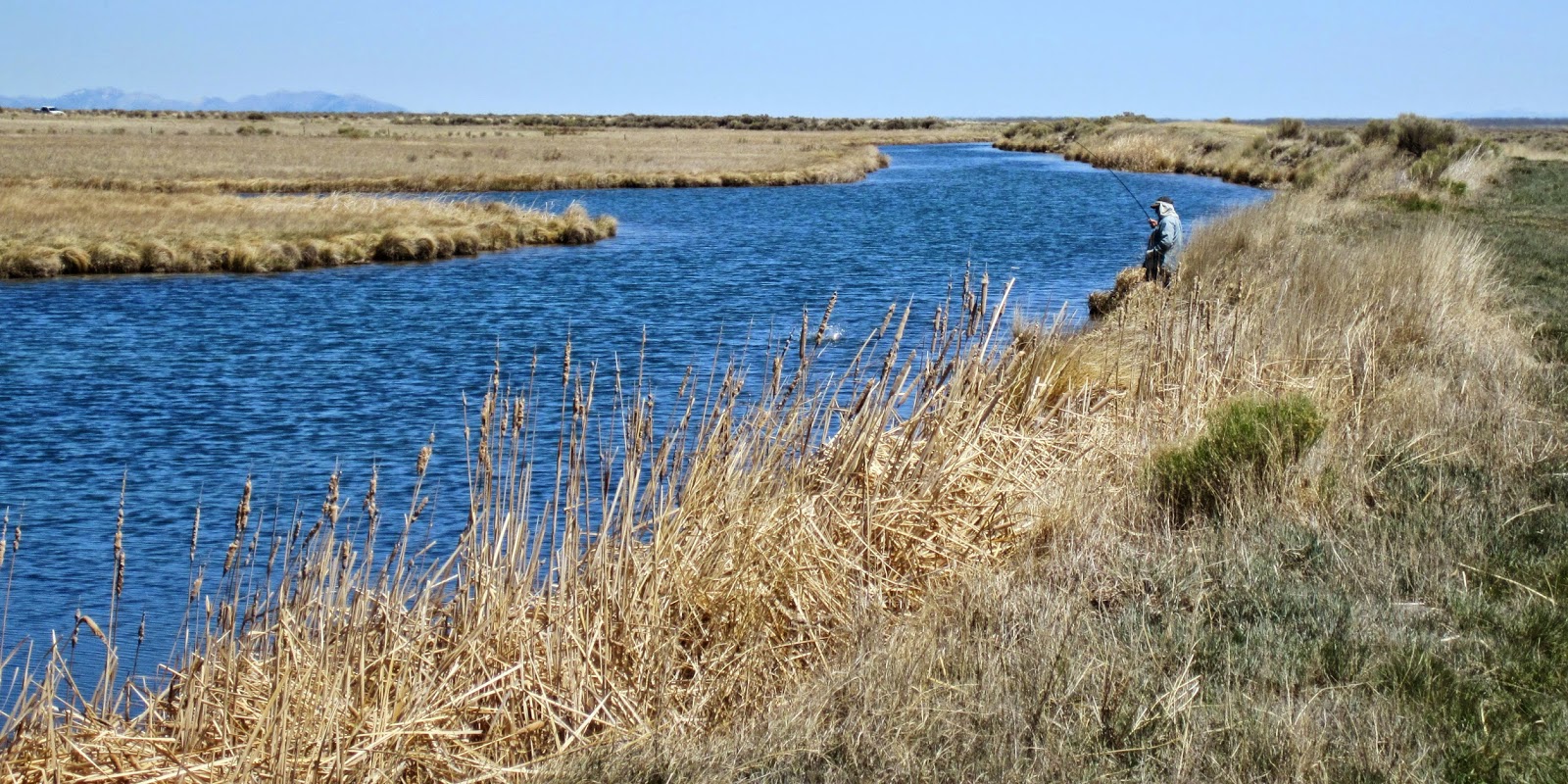 Elko County Waters: Ruby Marshes, South Fork Reservoir, and Wild Horse ...