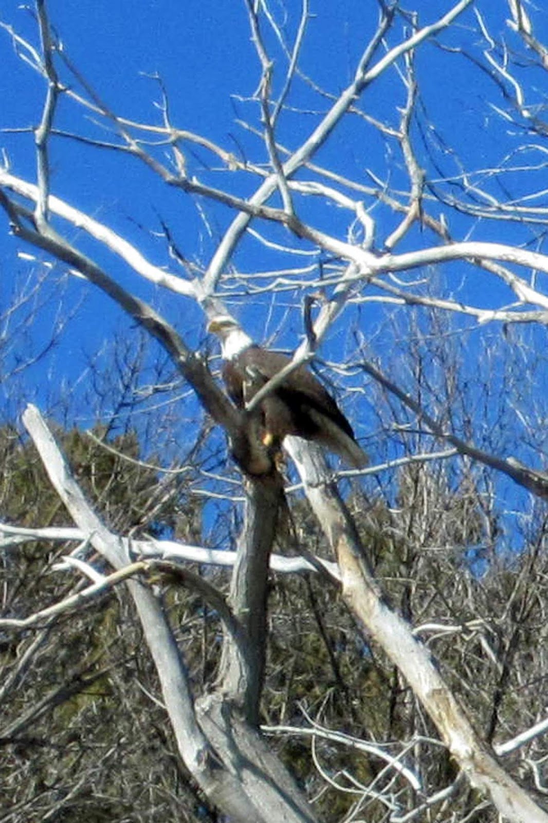 Baker Reservoir – Baker Dam Recreation Area – FisherDad