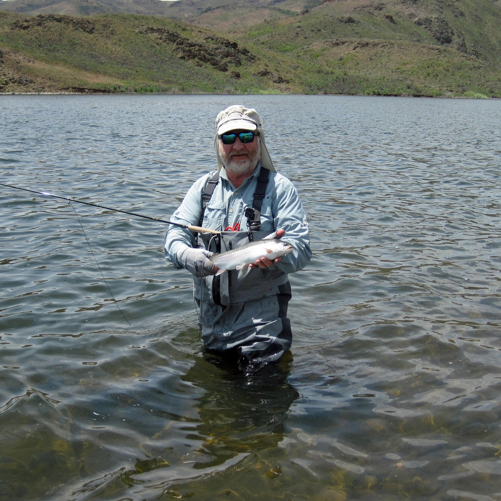 Elko County – Wild Horse and Billy Shaw Reservoirs plus Marys, Jarbidge ...