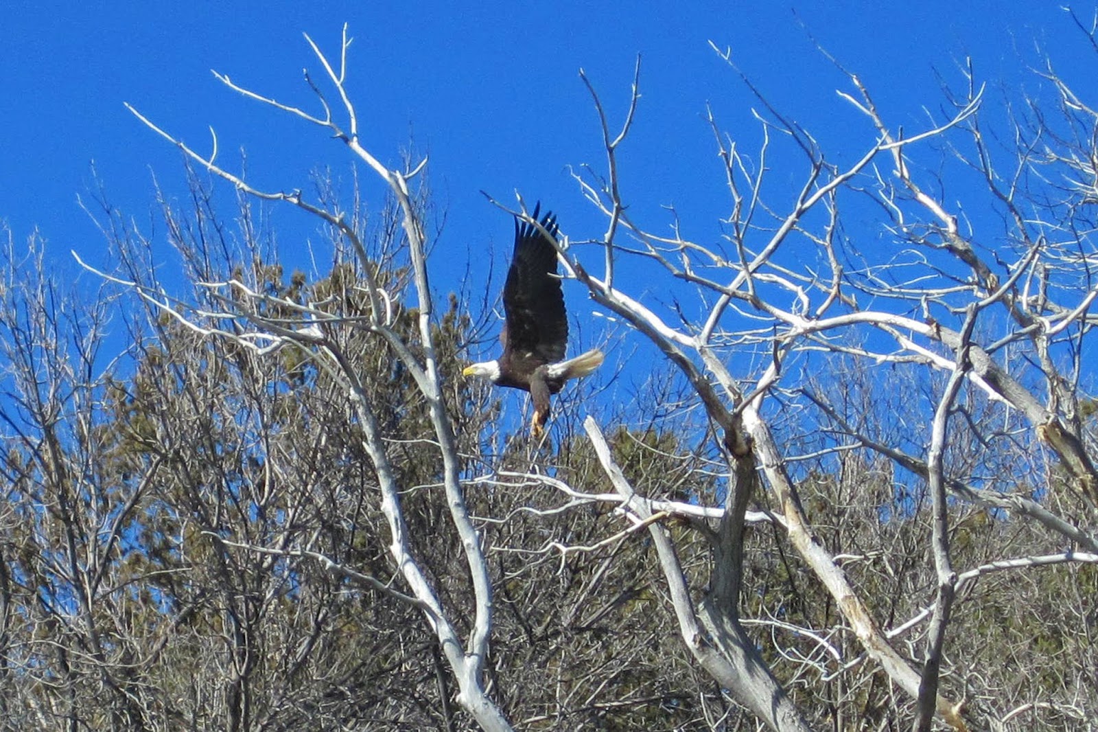 Baker Reservoir – Baker Dam Recreation Area – FisherDad