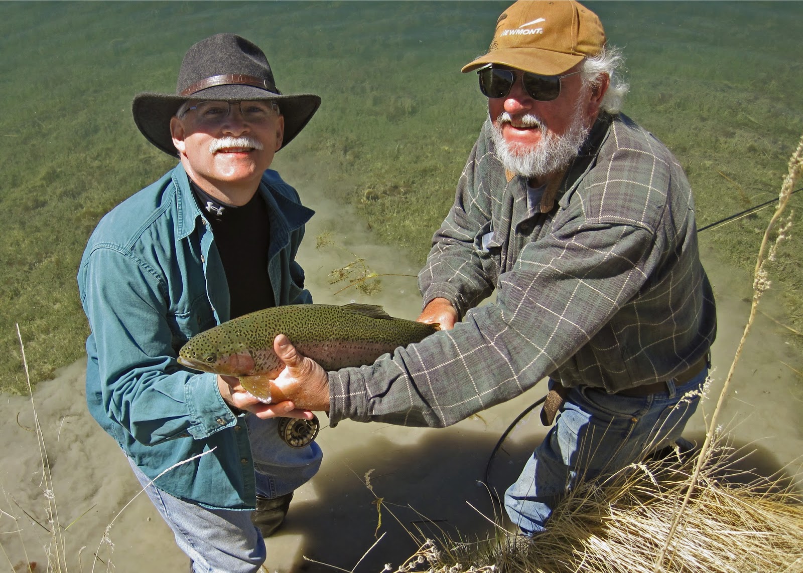Elko County Waters: Ruby Marshes, South Fork Reservoir, and Wild Horse ...