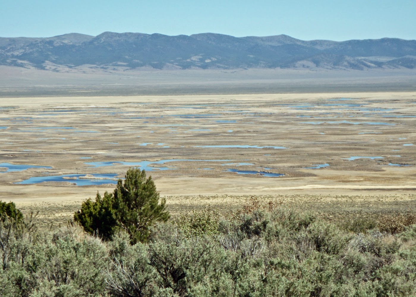 Elko County Waters: Ruby Marshes, South Fork Reservoir, and Wild Horse ...