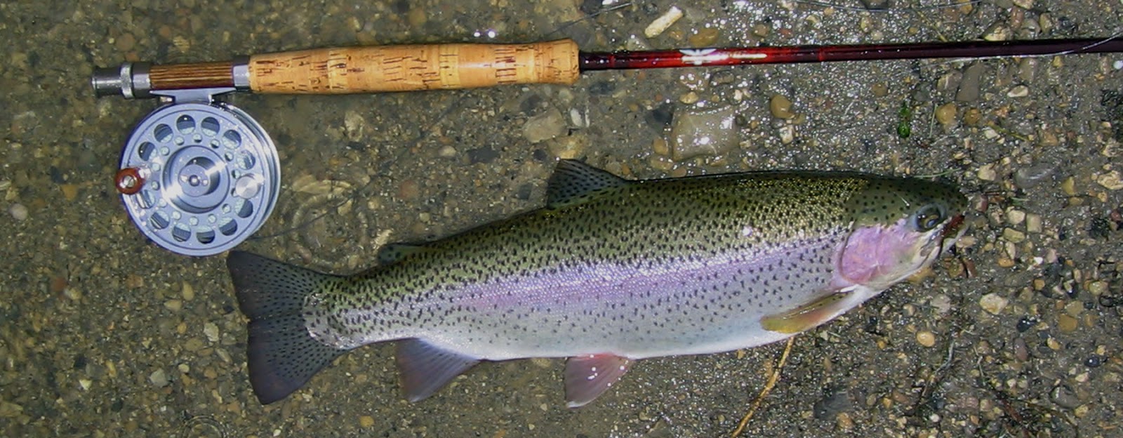Comins Lake – Ely, NV – FisherDad