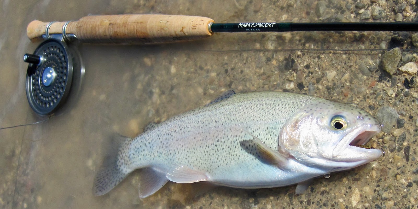 Six Foot Rod for Twelve Inch Trout – FisherDad