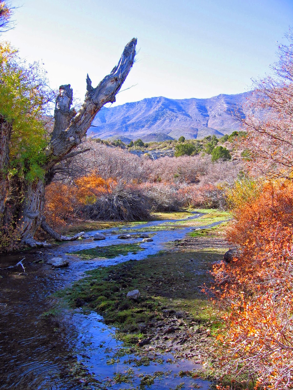 Cold Creek, Clark Co., NV – FisherDad