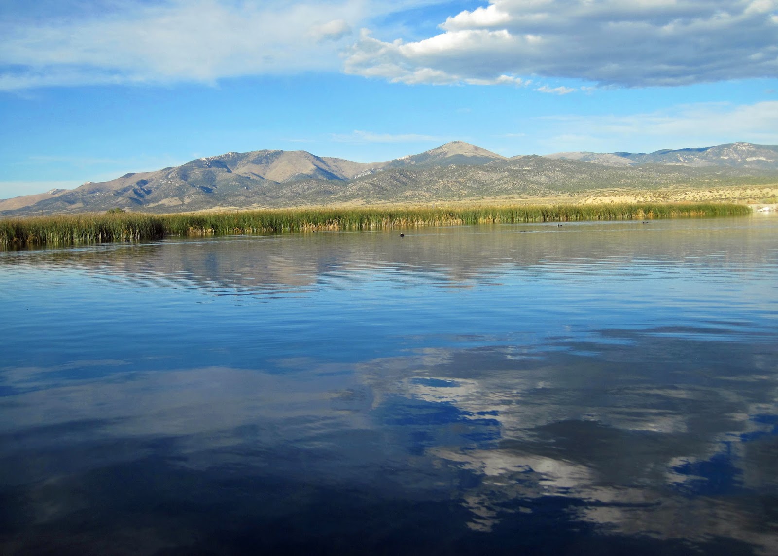Comins Lake, Steptoe Valley Wildlife Management Area – FisherDad