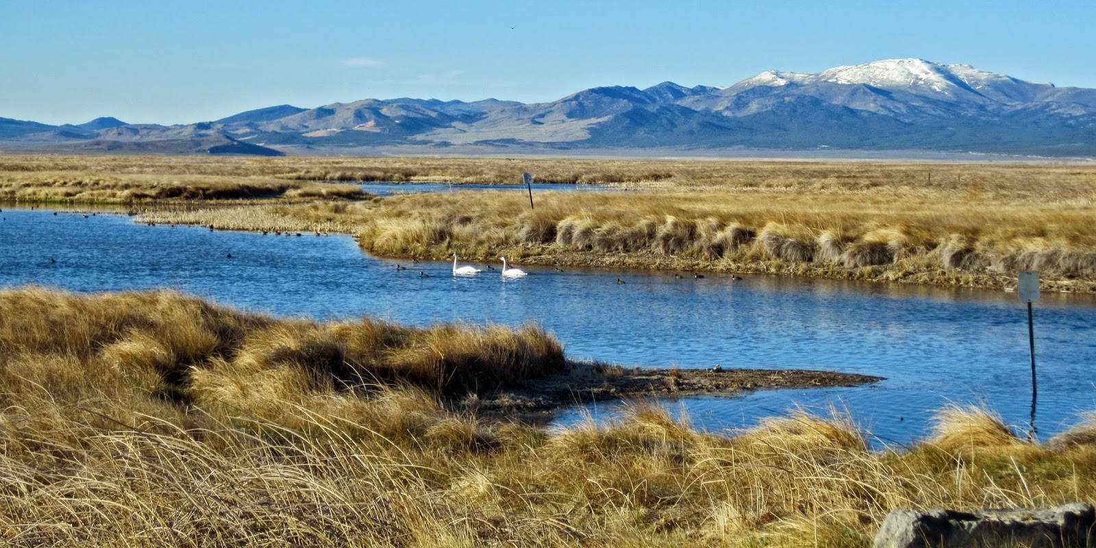 Elko County Waters: Ruby Marshes, South Fork Reservoir, and Wild Horse ...