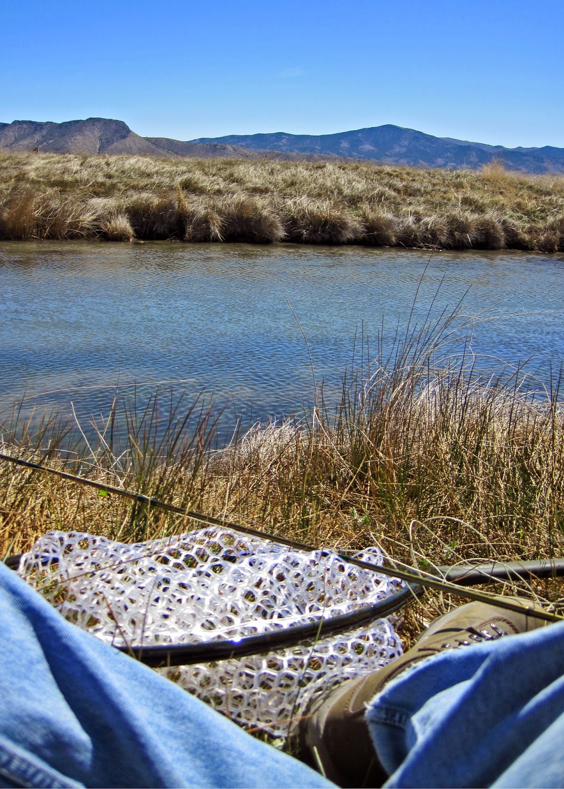 Elko County Waters: Ruby Marshes, South Fork Reservoir, and Wild Horse ...