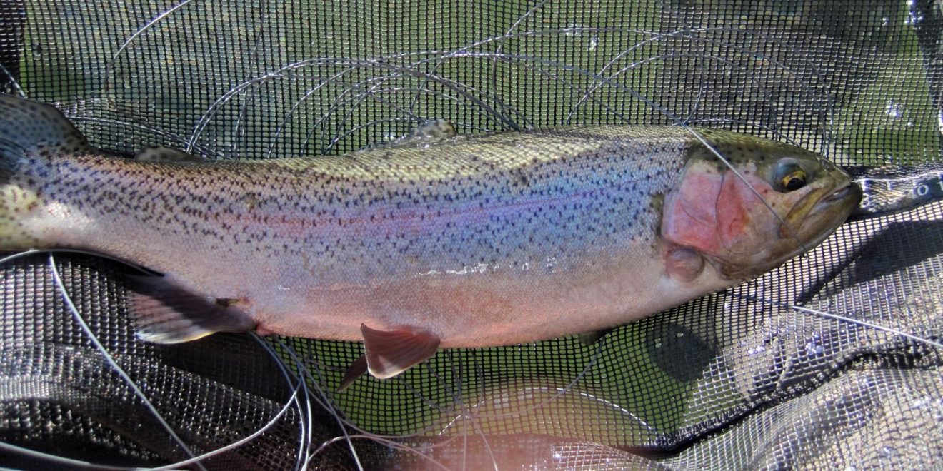Baker Reservoir – Baker Dam Recreation Area – FisherDad