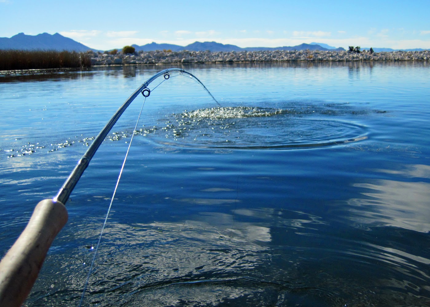 Dacey Reservoir, Sunnyside, NV – FisherDad