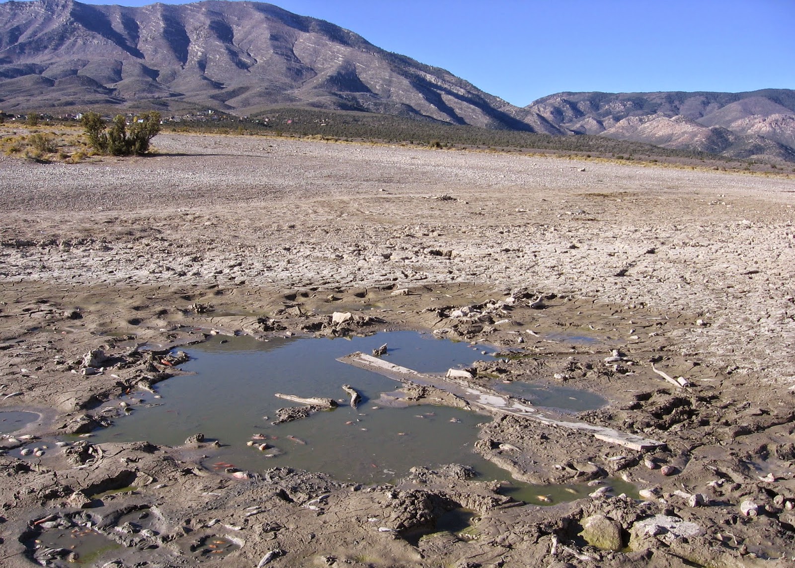 Cold Creek, Clark Co., NV – FisherDad