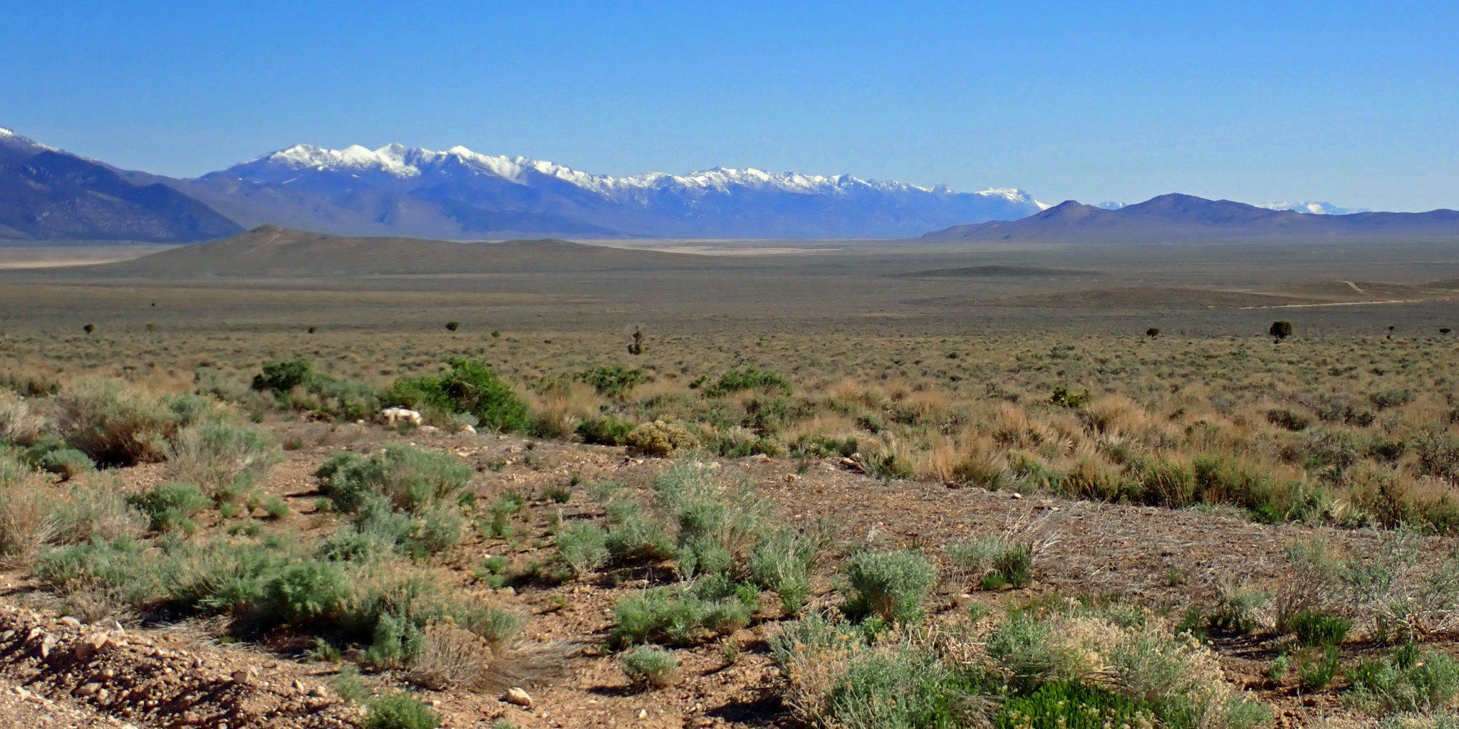 Brotherly Assault on Comins Lake & Ruby Marshes – FisherDad