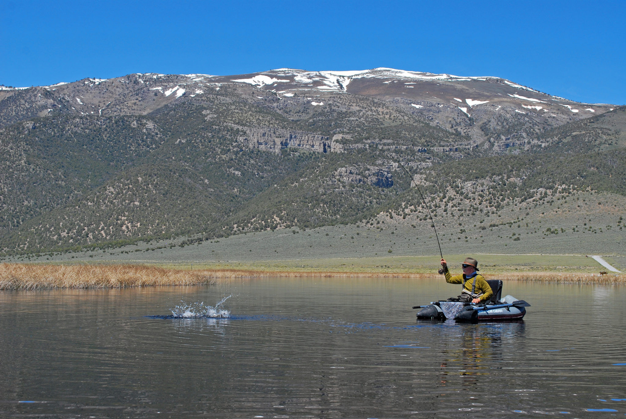 Brotherly Assault on Comins Lake & Ruby Marshes – FisherDad