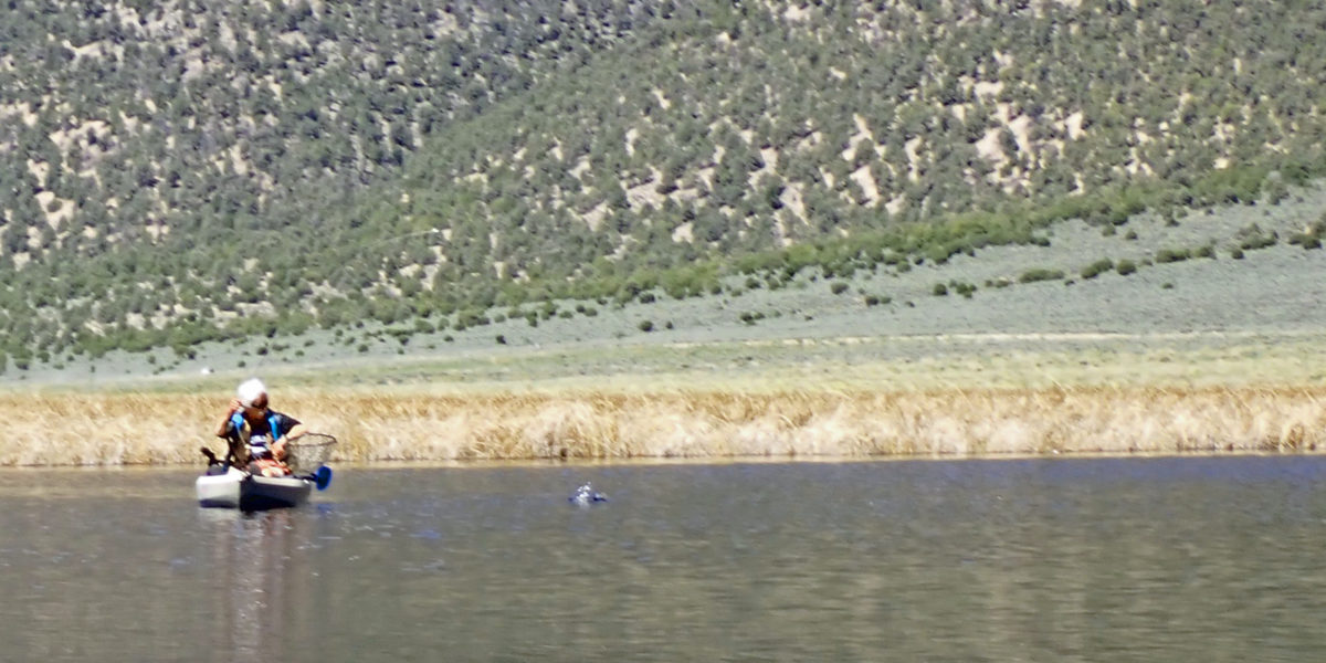 Brotherly Assault on Comins Lake & Ruby Marshes – FisherDad