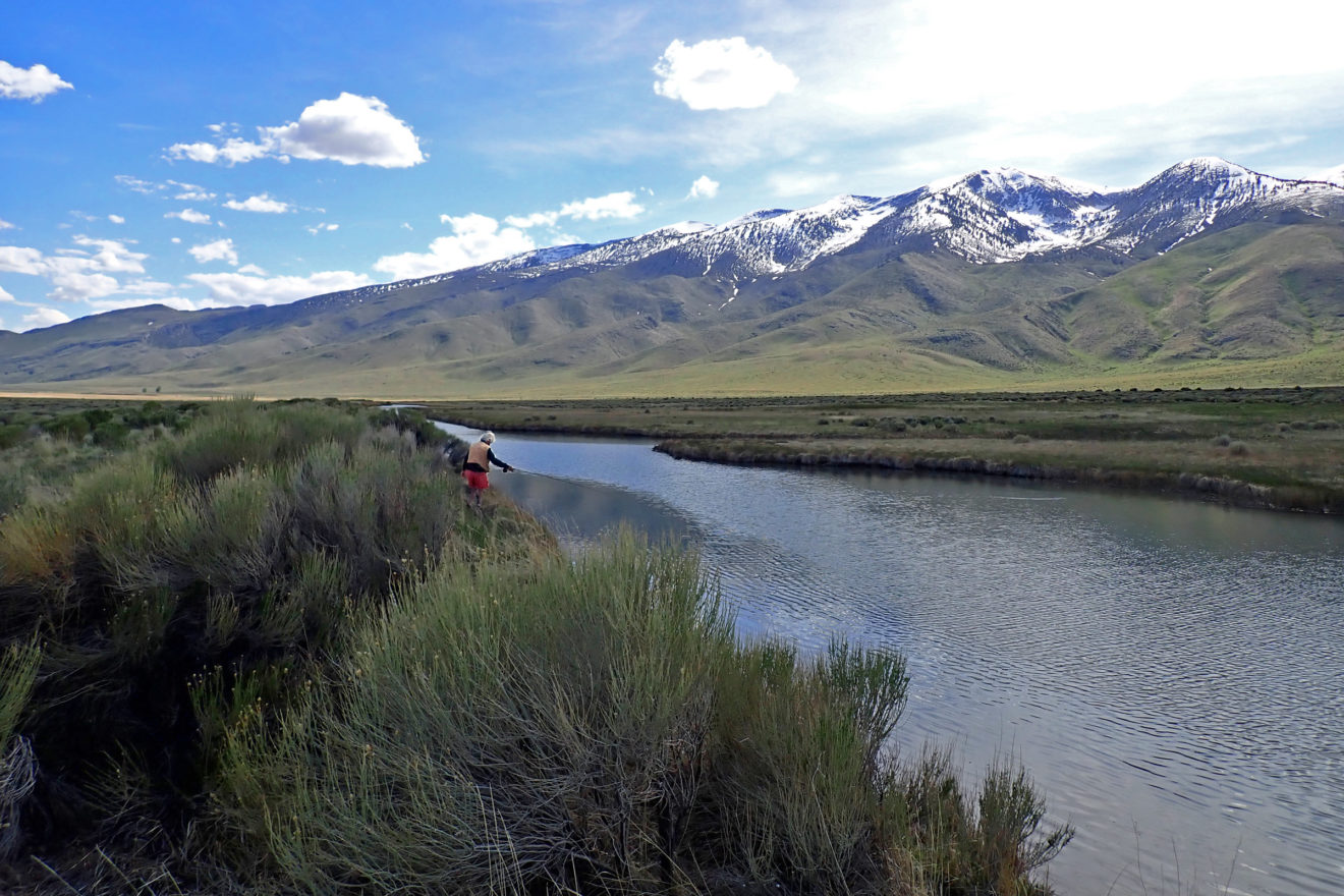 Brotherly Assault on Comins Lake & Ruby Marshes – FisherDad