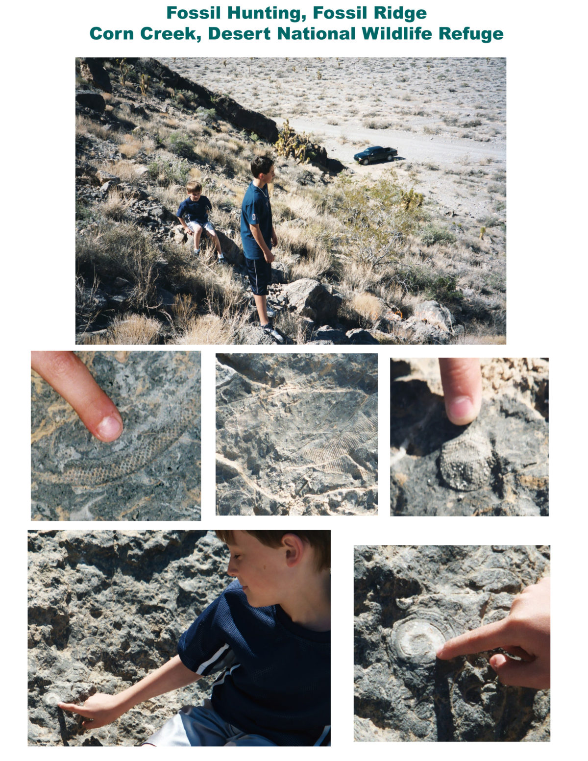 Desert National Wildlife Refuge – Mormon Well Road – FisherDad