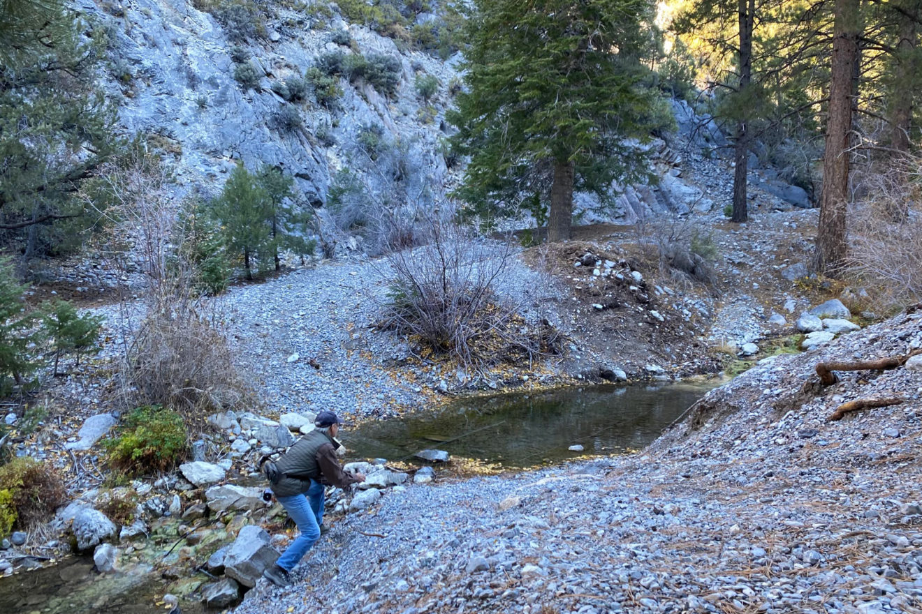 Exploring Carpenter Canyon from Pahrump, NV – FisherDad