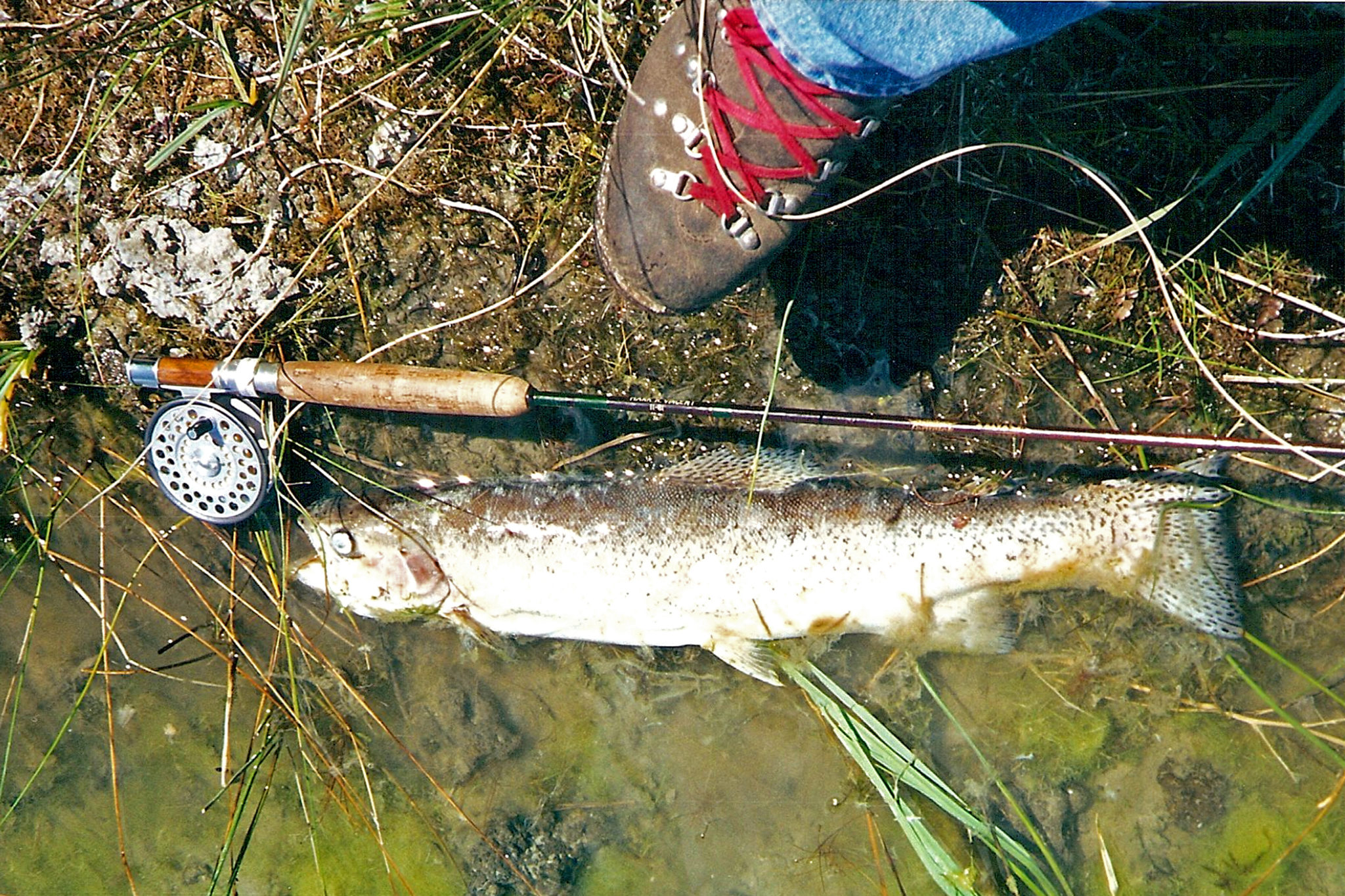 Exploring New Angling Opportunities – FisherDad