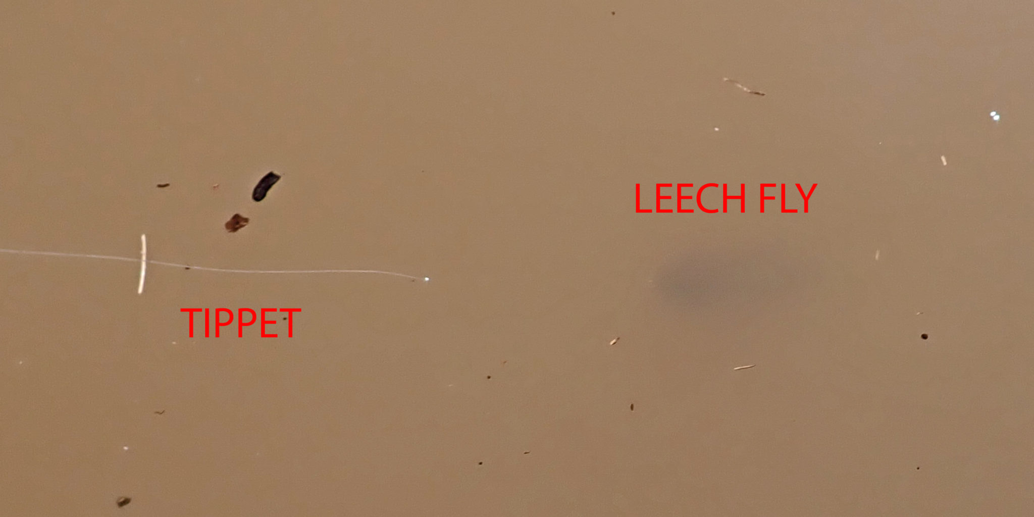 Baker Reservoir Wash Out – FisherDad