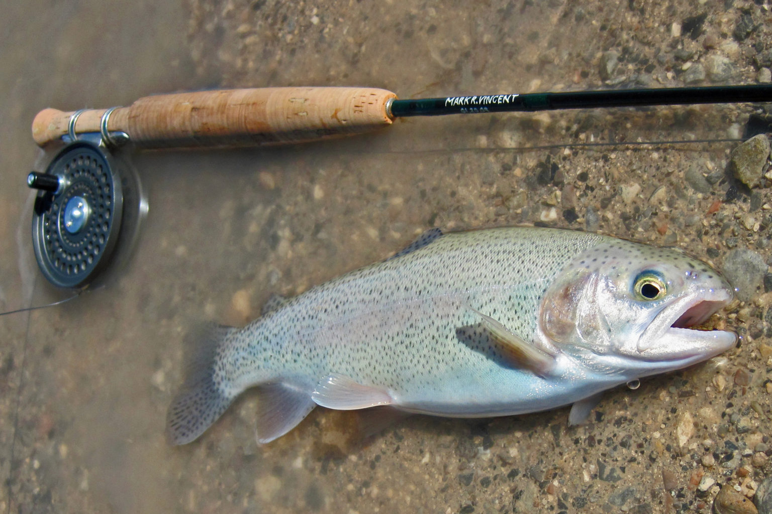 Six Foot Rod for Twelve Inch Trout – FisherDad