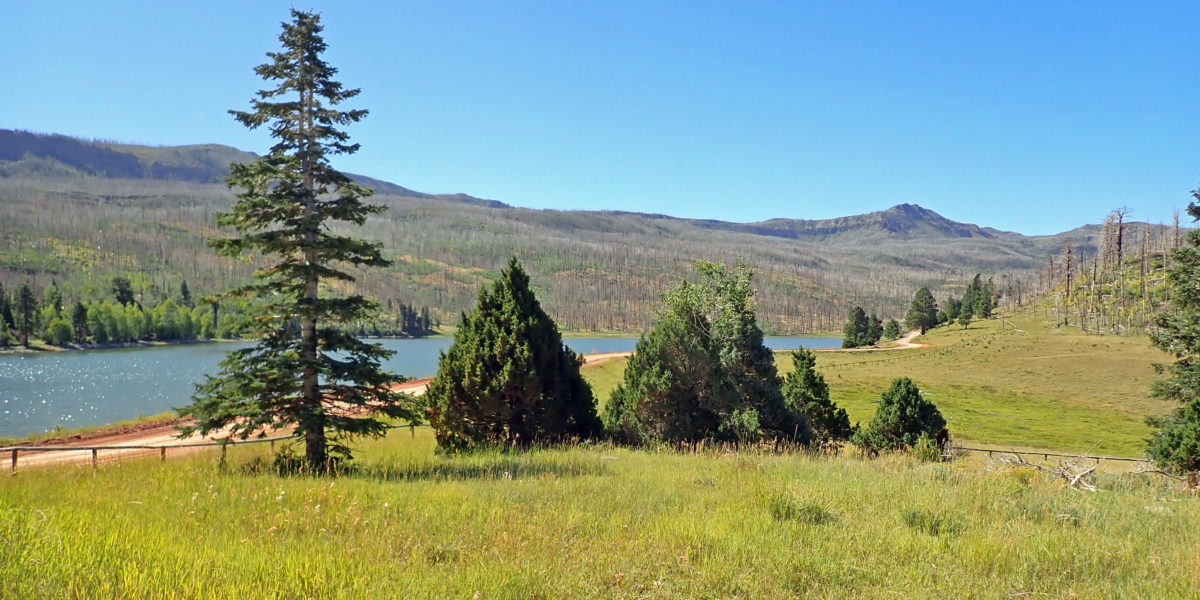 Yankee Meadow Reservoir – FisherDad