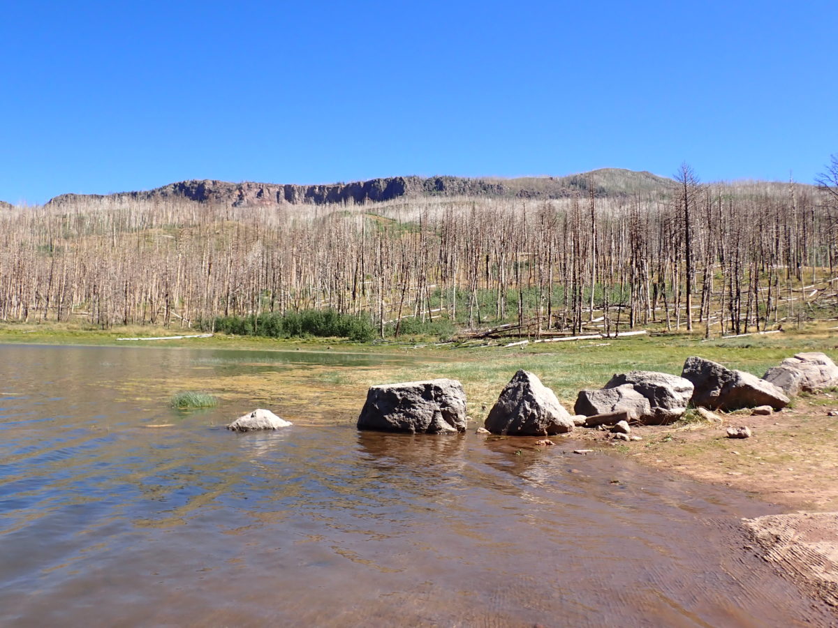 Yankee Meadow Reservoir – FisherDad