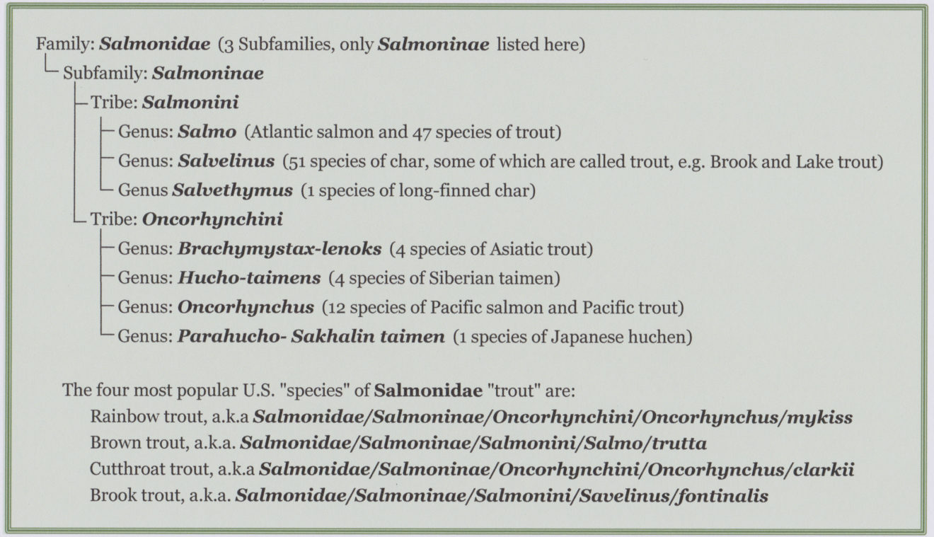 Yankee Meadow Reservoir – FisherDad